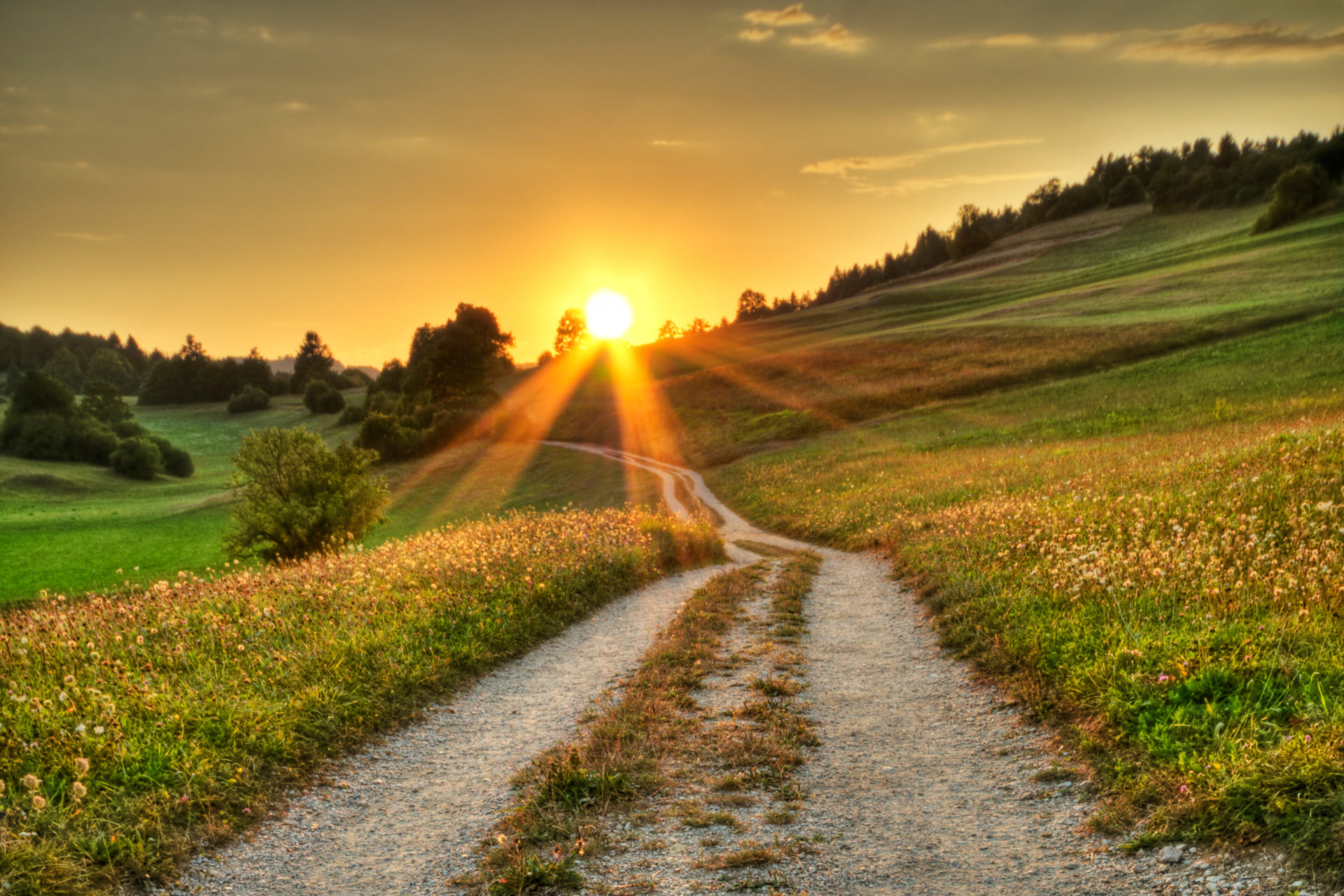 Psychotherapie Graz - Ines Pavlovic